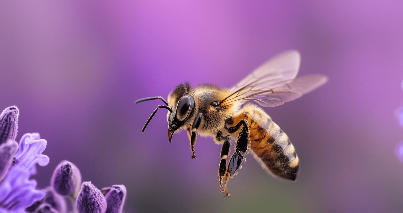 Titan | About Us | Chartered Financial Planners | Titan